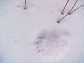 najlepšie fotografie, fotky - LovuZdar.sk by DODUIN